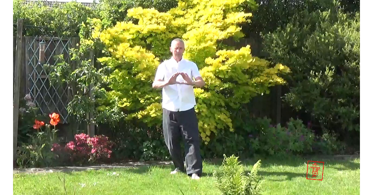 The Five Elements Dance Qigong class - San Bao School